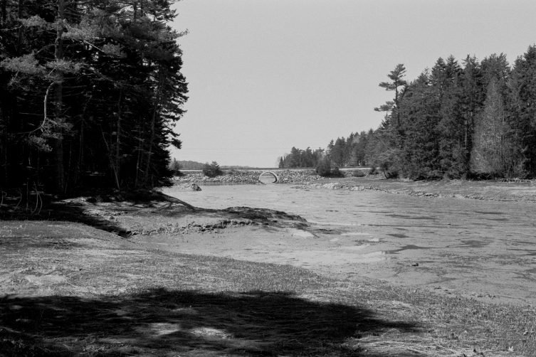 A Hike on the Harpswell Cliff Trail - Dane's Photography