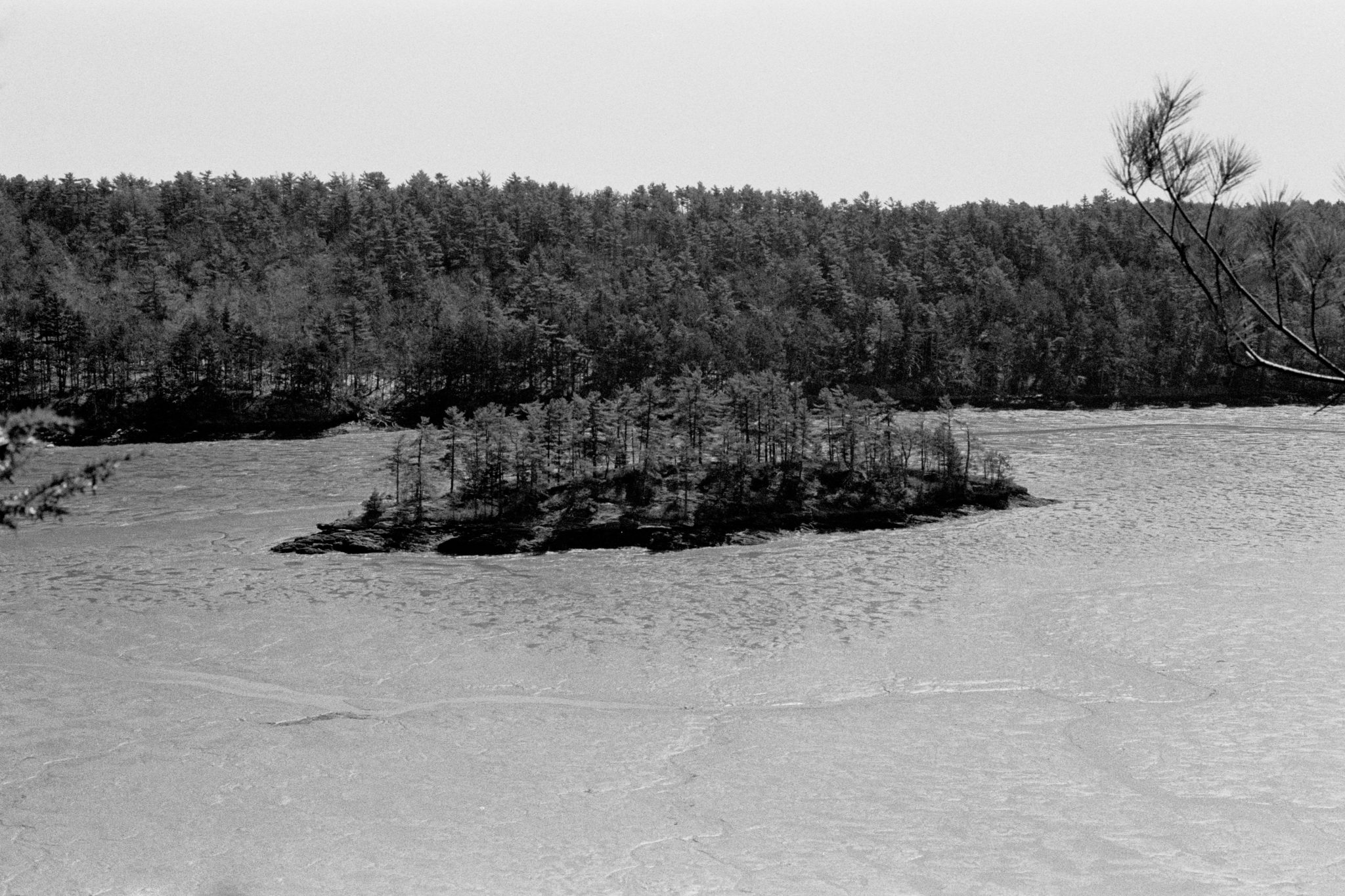 A Hike on the Harpswell Cliff Trail - Dane's Photography
