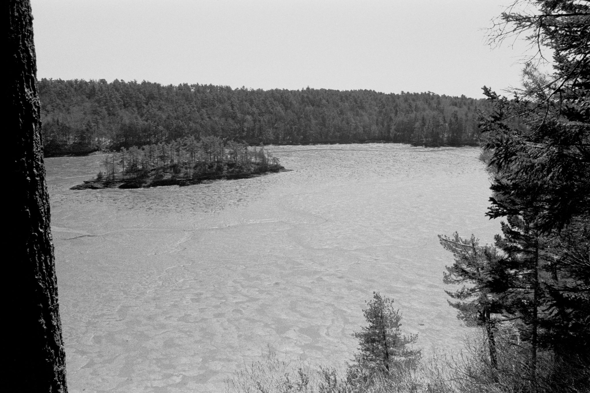 A Hike on the Harpswell Cliff Trail - Dane's Photography