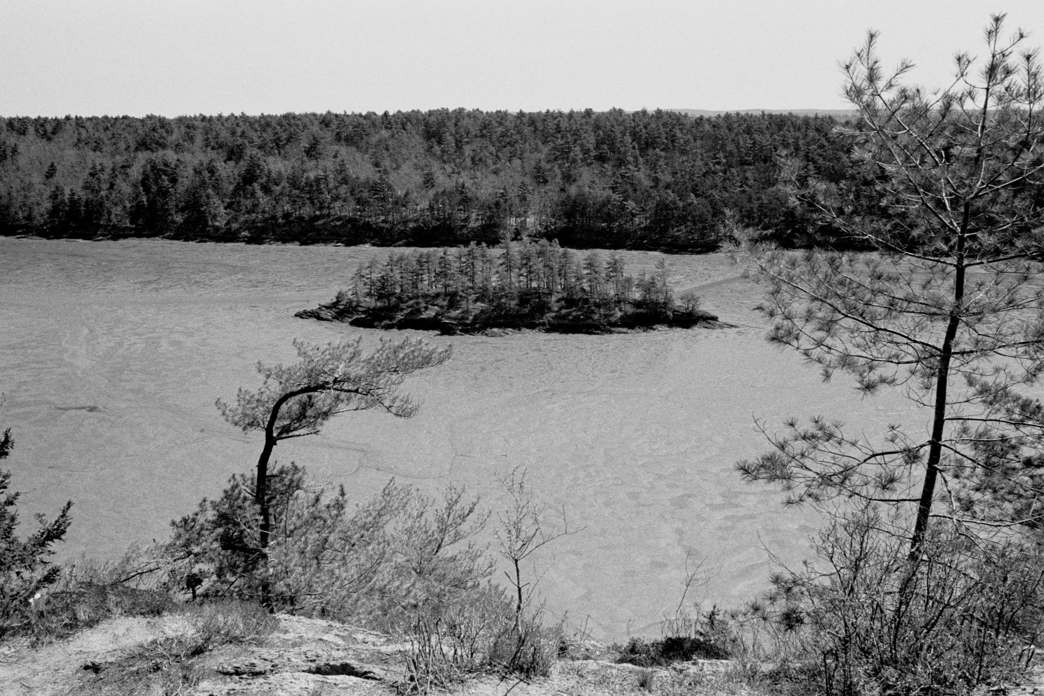 A Hike on the Harpswell Cliff Trail - Dane's Photography