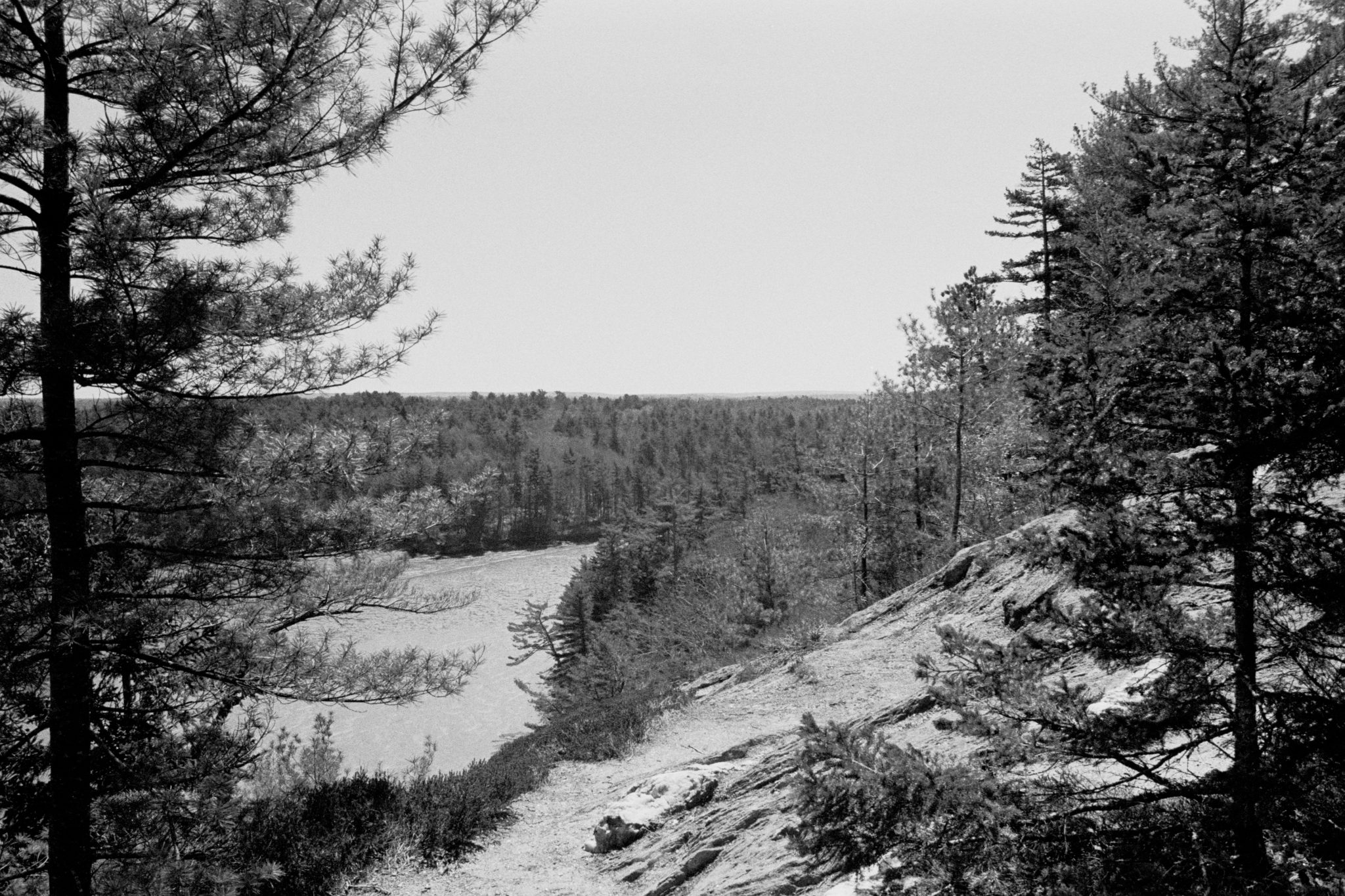 A Hike on the Harpswell Cliff Trail - Dane's Photography