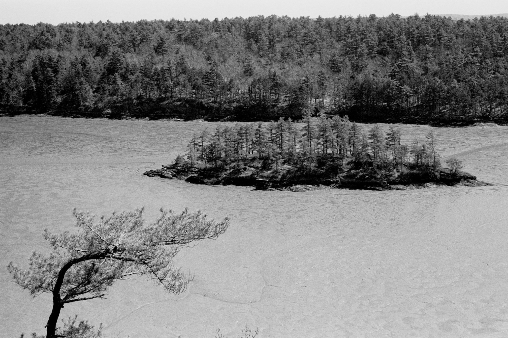 A Hike on the Harpswell Cliff Trail - Dane's Photography