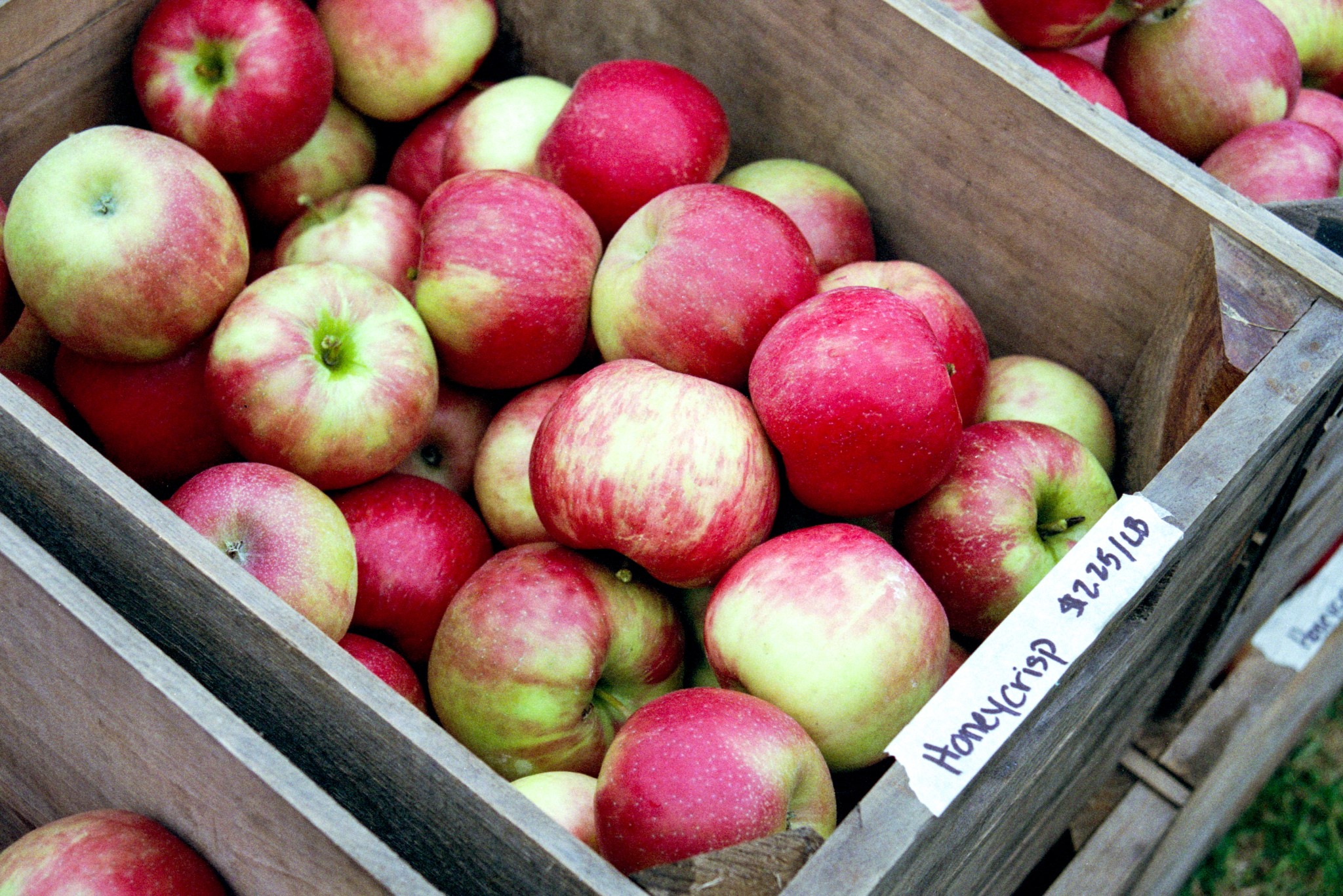 Autumn Colors and Apples in Vermont - Dane's Photography