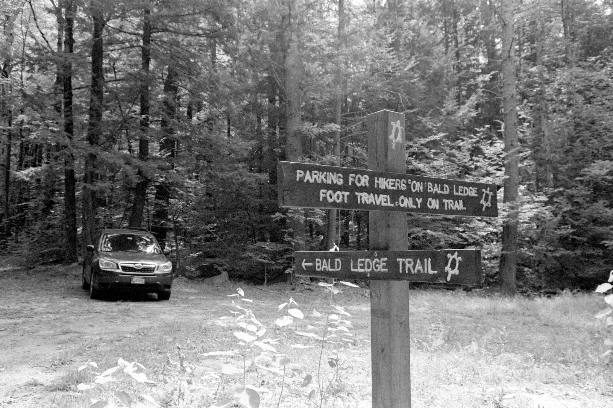 Hiking to Bald Ledge in Porter - Dane's Photography