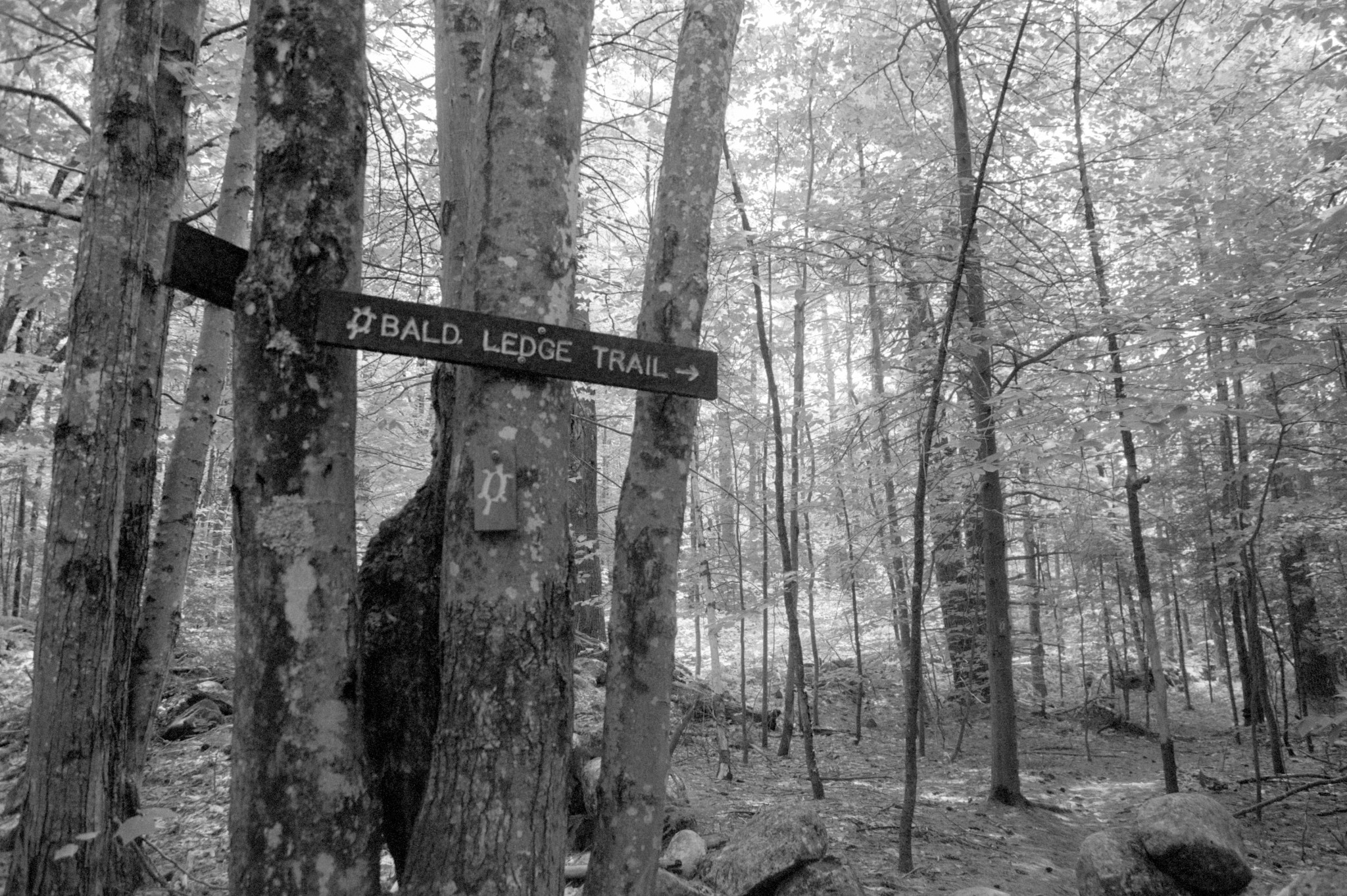 Hiking to Bald Ledge in Porter - Dane's Photography