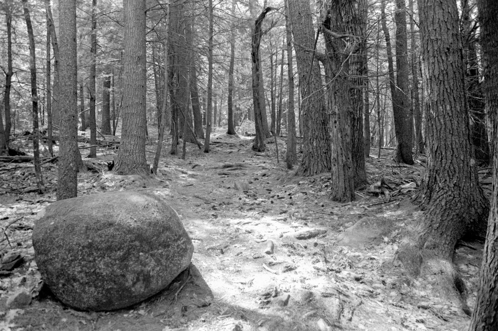 Hiking to Bald Ledge in Porter - Dane's Photography