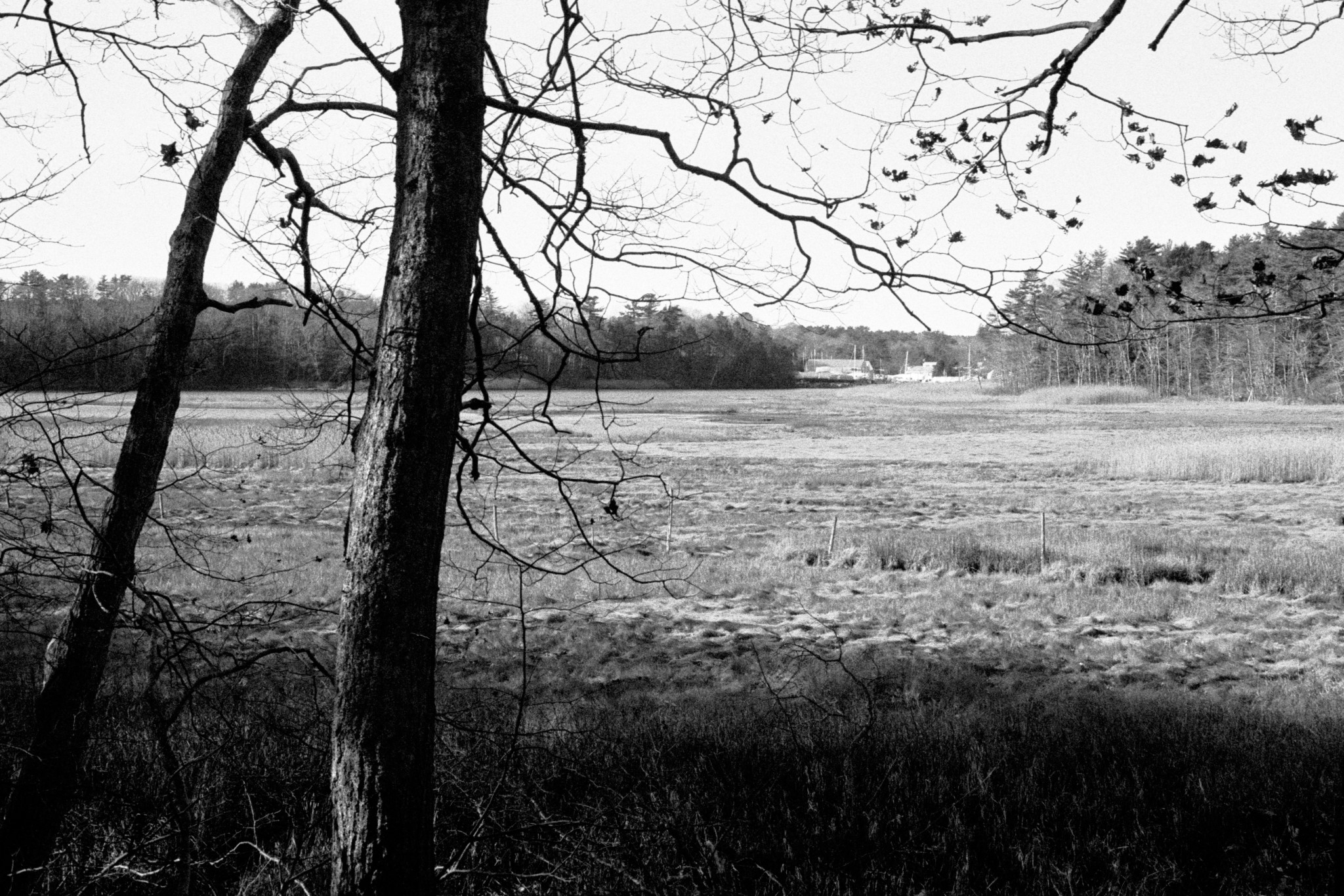 A Winter Walk Before the Snow at Spear Farm Estuary Preserve - Dane's ...