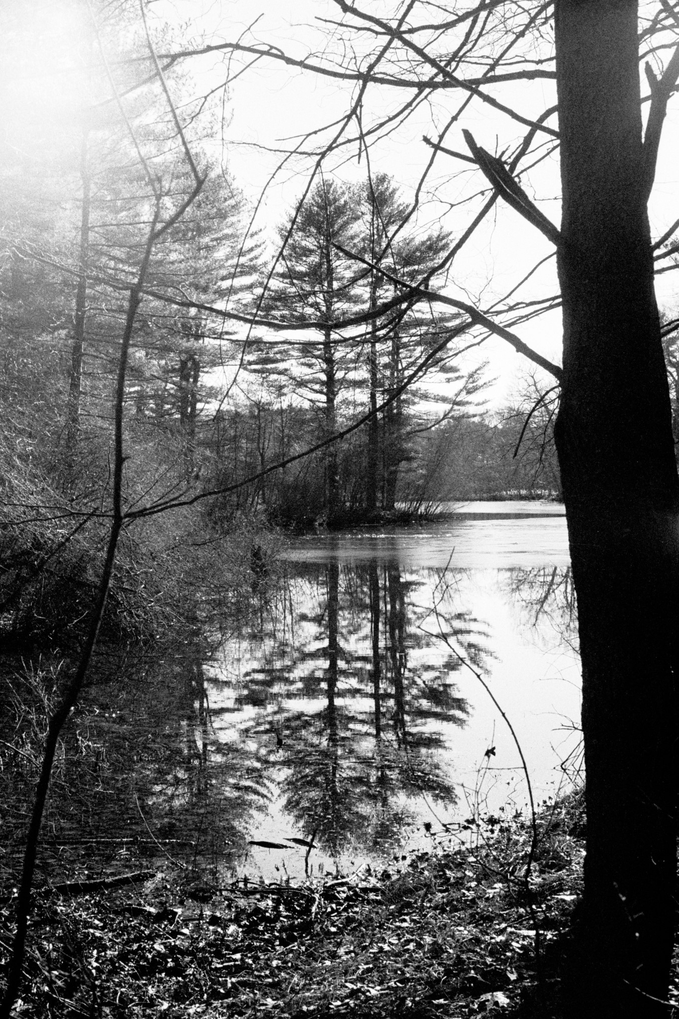 A Winter Walk Before the Snow at Spear Farm Estuary Preserve - Dane's ...