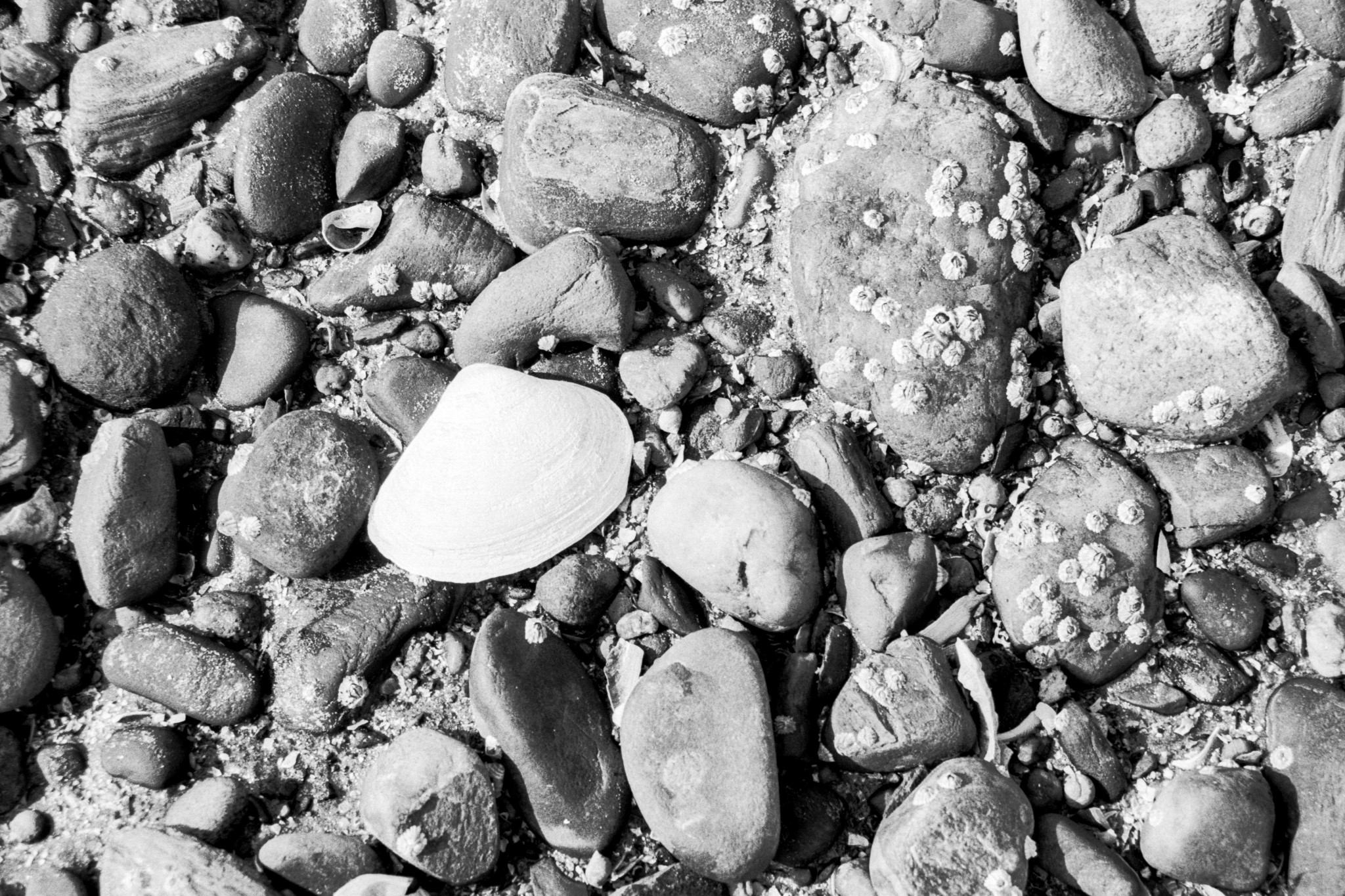 Exploring Beaches in Harpswell - Dane's Photography