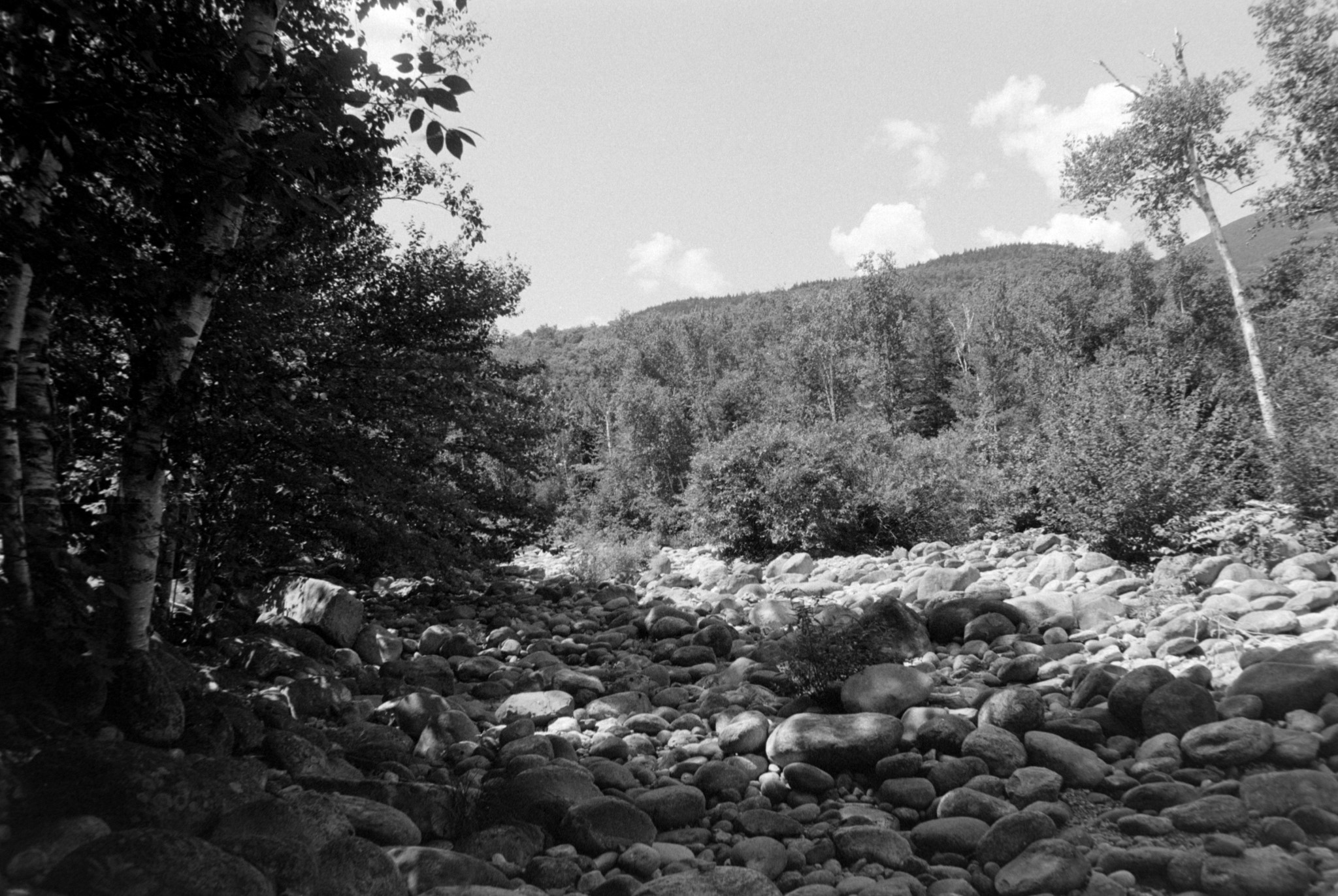 A Scenic Drive Through Pinkham Notch to Crawford Notch - Dane's Photography
