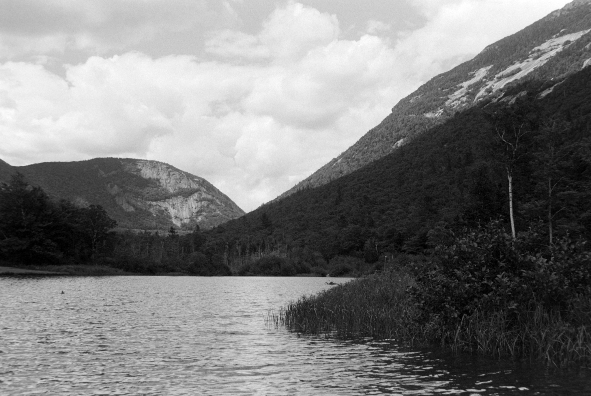 A Scenic Drive Through Pinkham Notch to Crawford Notch - Dane's Photography
