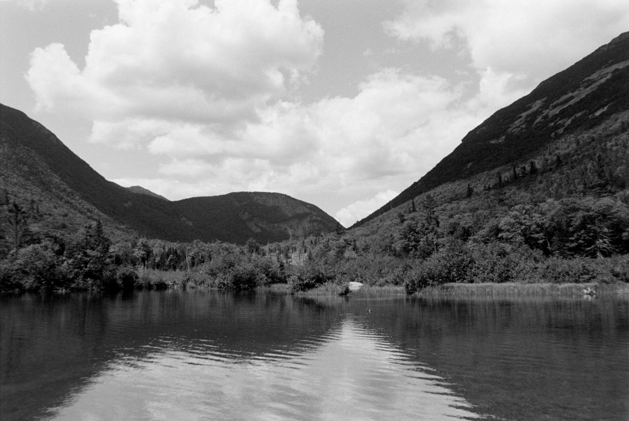 A Scenic Drive Through Pinkham Notch to Crawford Notch - Dane's Photography